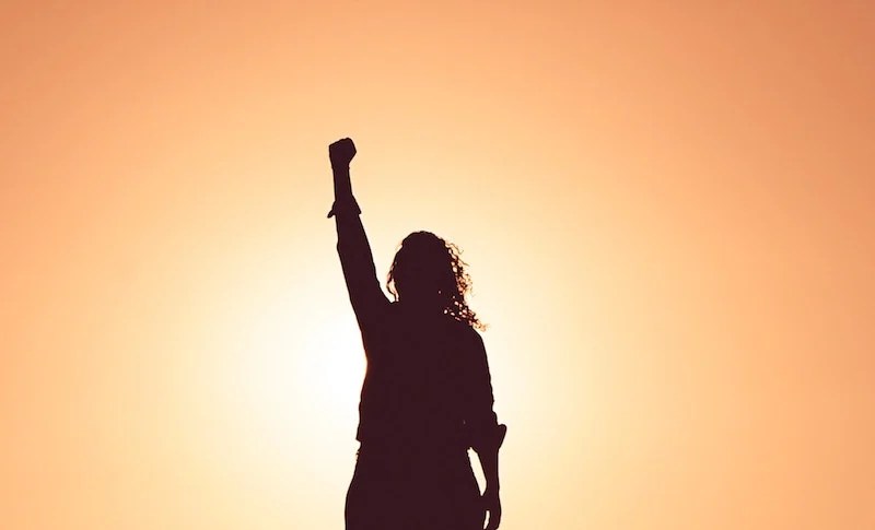 The Necessary Traits of Being a Survivor – The Snapper